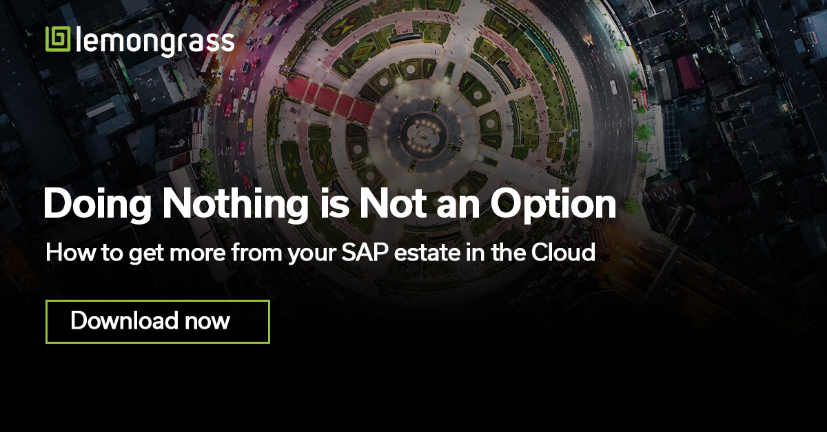 eBook: Doing Nothing is Not an Option | SAP on Cloud
